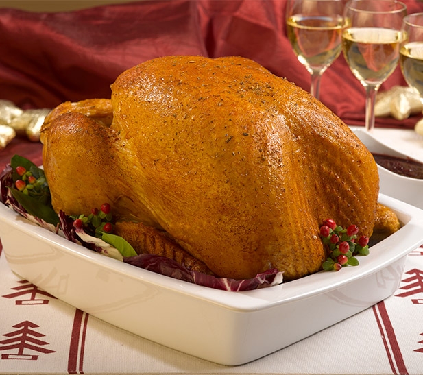 Pavo con salsa de arándanos - Mr Pavo